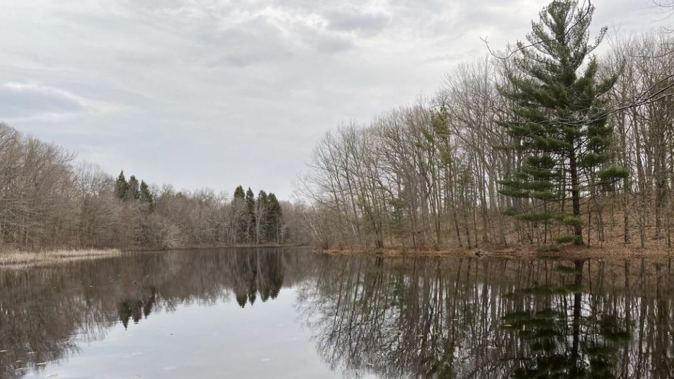 Let's Take a Hike - Ross Coastal Plain Marsh Preserve - Sunset Coast ...
